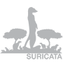 Suricata首页、文档和下载 - 网络入侵检测和阻止引擎 - OSCHINA - 中文开源技术交流社区