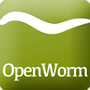 OpenWorm首页、文档和下载 - 秀丽隐杆线虫模型 - OSCHINA - 中文开源技术交流社区