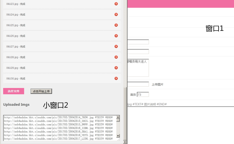 求助！ Js 弹出窗口中设置父窗口 Input 值 Oschina 中文开源技术交流社区