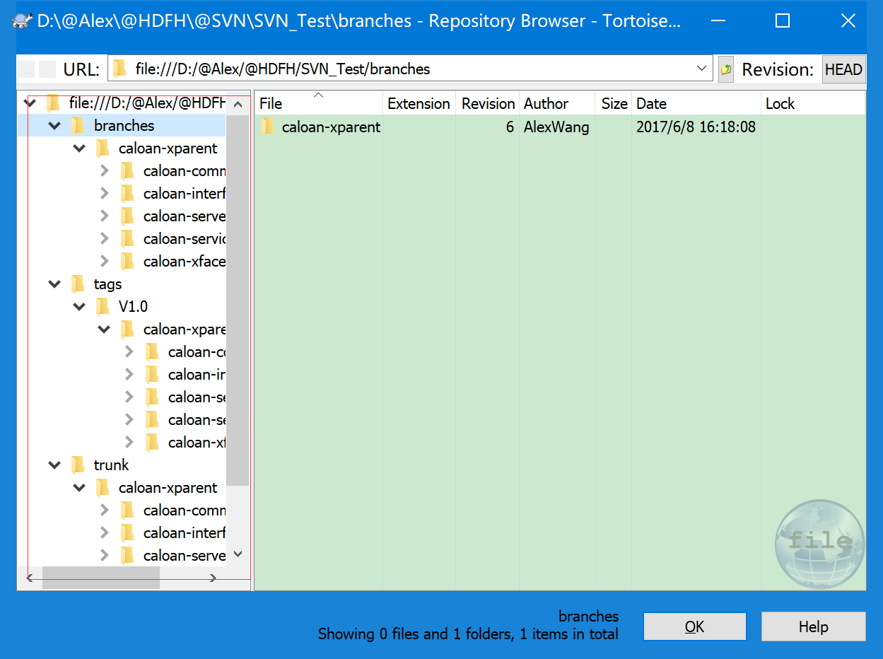 SVN trunk(主线) branch(分支) tag(标记) 用法详解和详细操作步骤-CSDN博客