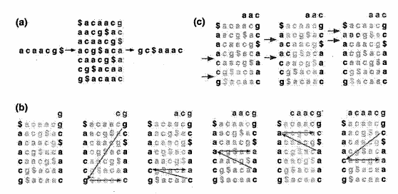 BWA-MEM算法记录_weixin_34075551的博客-CSDN博客