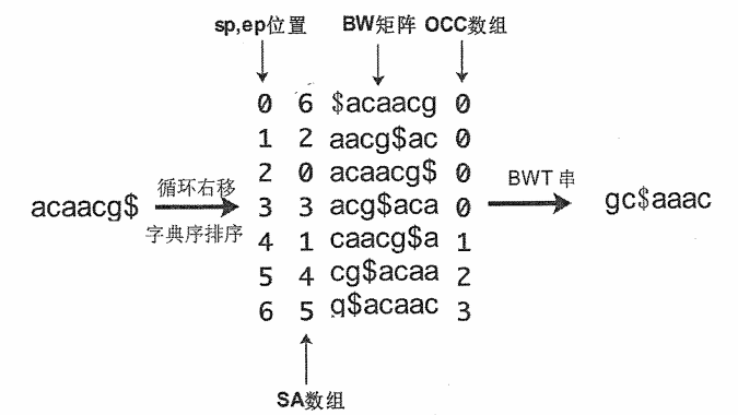 BWA-MEM算法记录_weixin_34075551的博客-CSDN博客