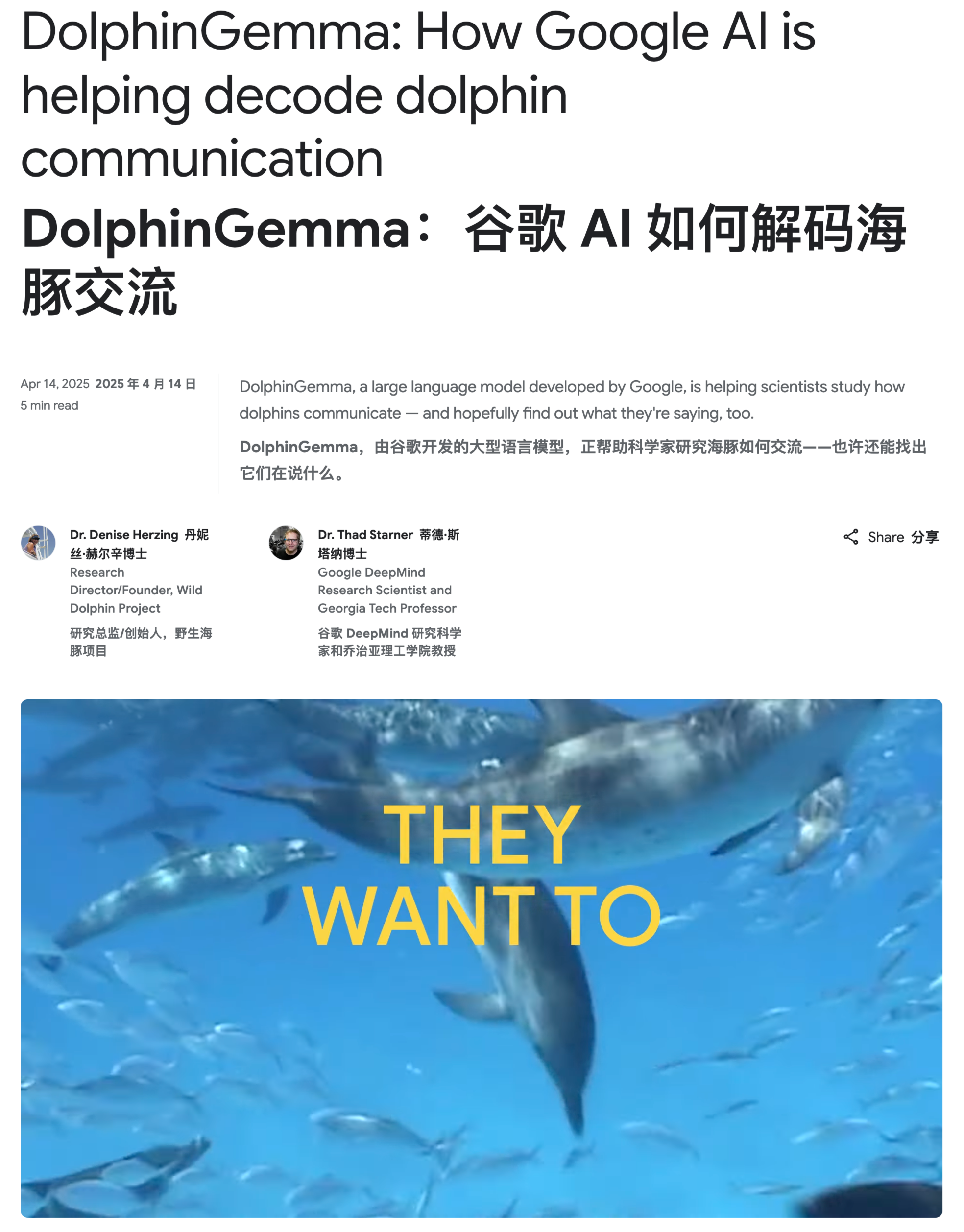 OSCHINA - 开源 × AI · 开发者生态社区